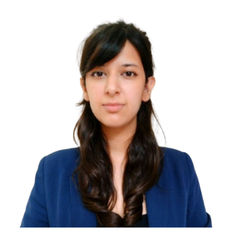 Foresight in action: A spotlight interview with Sohail Inayatullah | UNSSC | United Nations ...